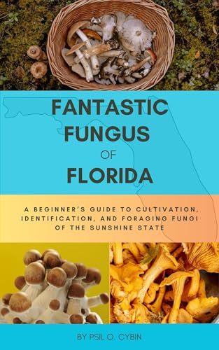 Fantastic Fungus of Florida: A beginner’s guide to cultivation ...