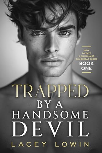 Trapped By A Handsome Devil: A Billionaire Workplace, Standalone Steamy Romance by Lacey Lowin ...