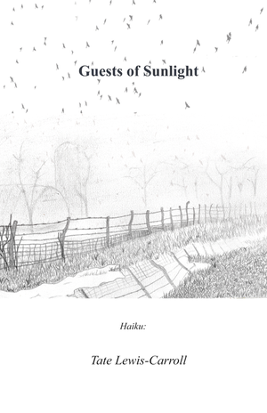 Guests of Sunlight by Tate Lewis-Carroll | Goodreads