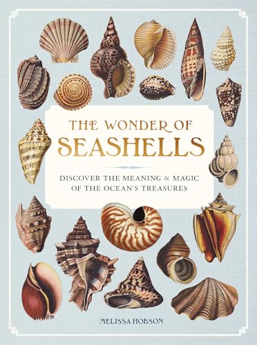 The Wonder of Seashells: Discover the Meaning & Magic of the Ocean’s ...