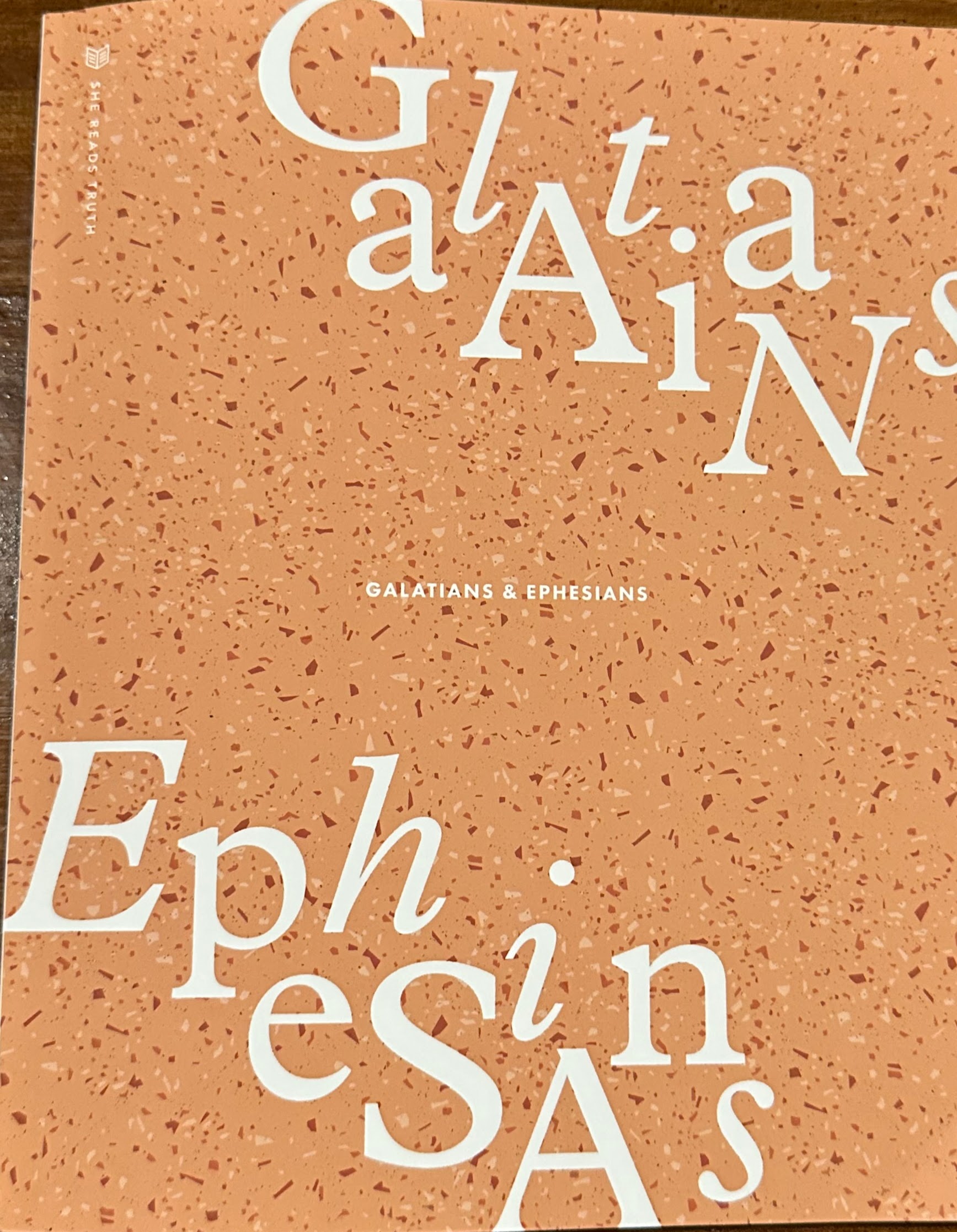 Galatians & Ephesians by She Reads Truth | Goodreads