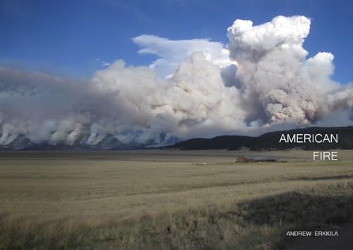 American Fire by Andrew Erkkila | Goodreads