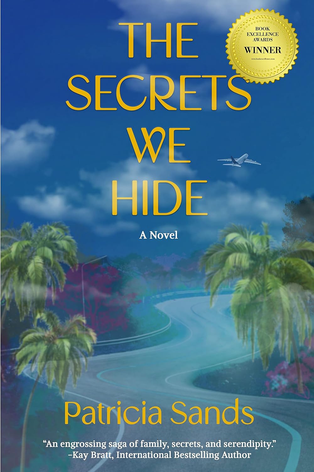 The Secrets We Hide by Patricia Sands | Goodreads