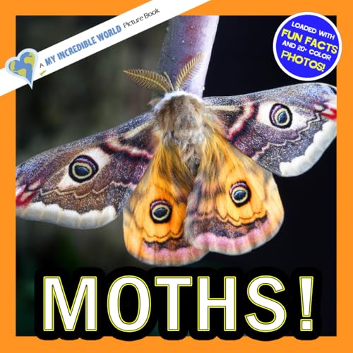 Moths!: A My Incredible World Picture Book for Children by Hope Aicher ...