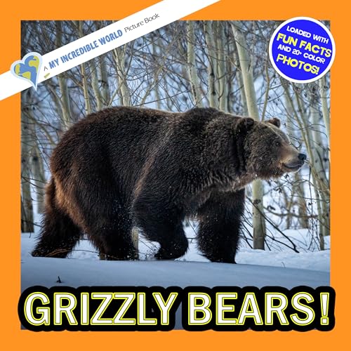 Grizzly Bears!: A My Incredible World Picture Book for Children by Hope ...
