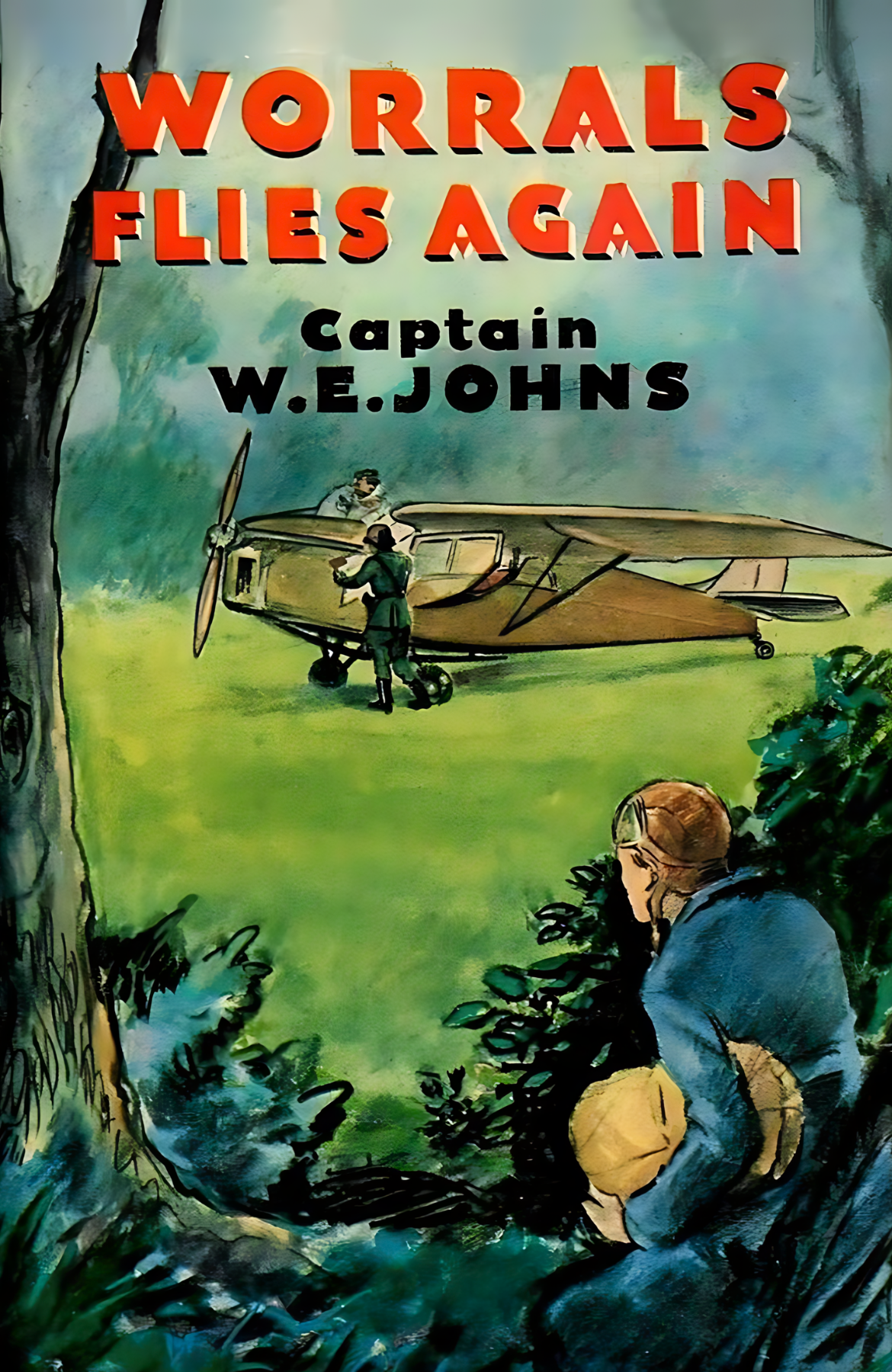 Worrals Flies Again (Worrals, #3) by W.E. Johns | Goodreads