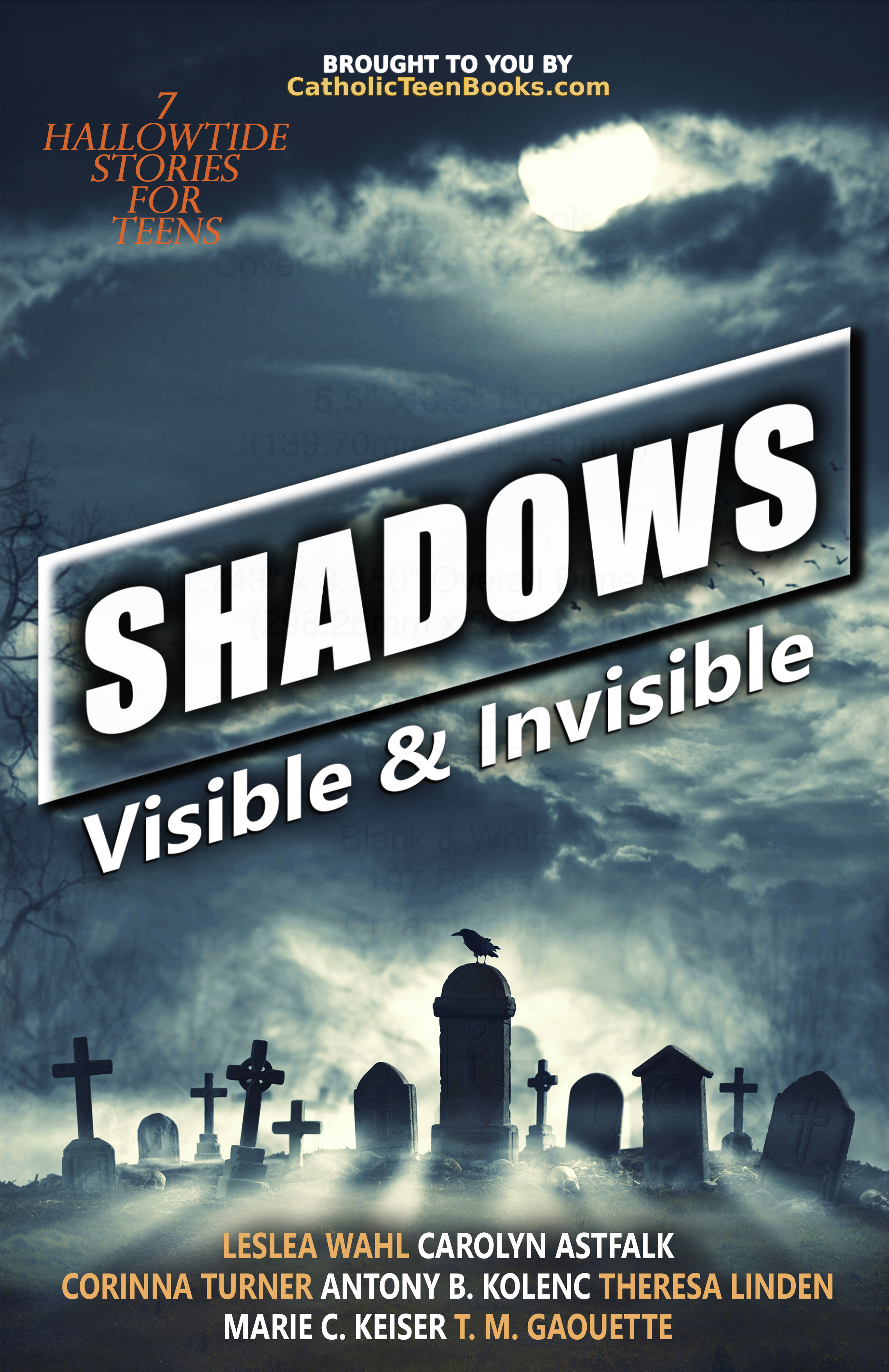 Shadows: Visible & Invisible (Visible & Invisible #5) by Leslea Wahl ...