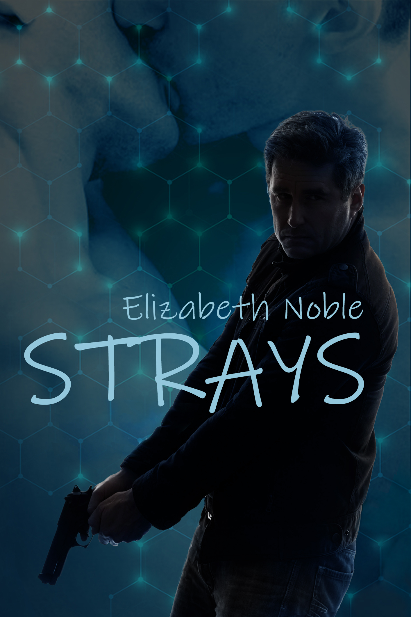 Strays by Elizabeth Noble | Goodreads