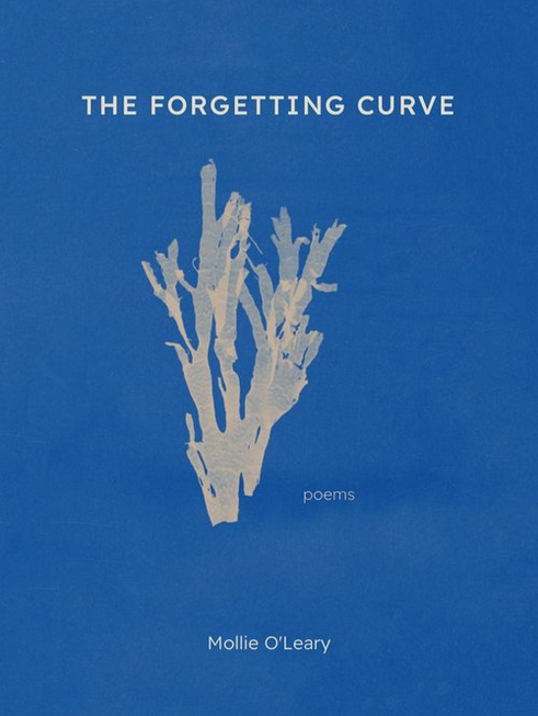 The Forgetting Curve by Mollie O'Leary | Goodreads