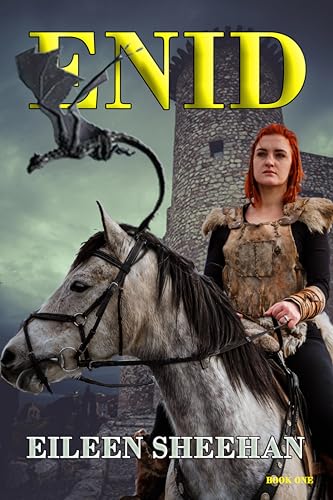 Enid (Enid, #1) by Eileen Sheehan | Goodreads