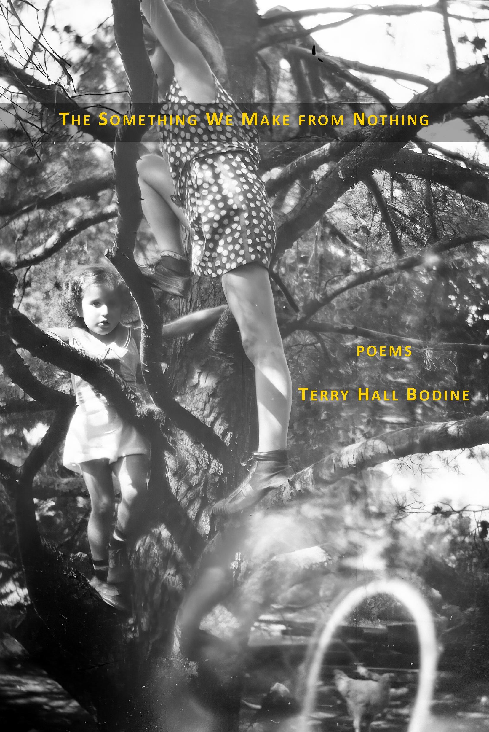 The Something We Make from Nothing by Terry Hall Bodine | Goodreads