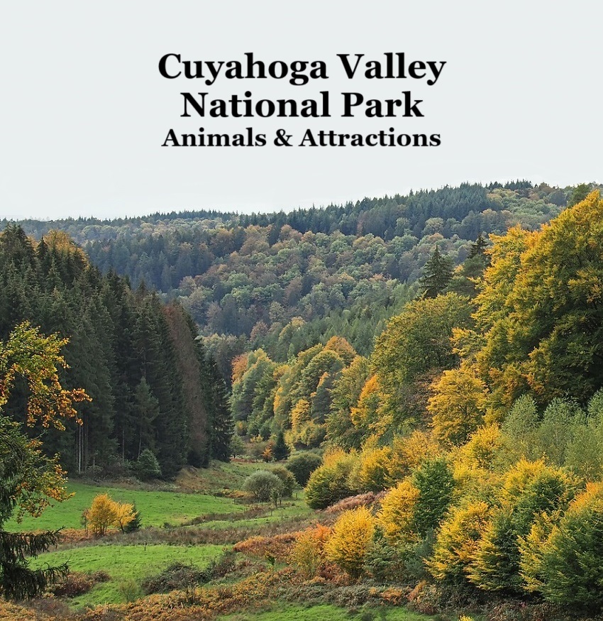 Cuyahoga Valley National Park Animals Attractions Kids Book: Great ...