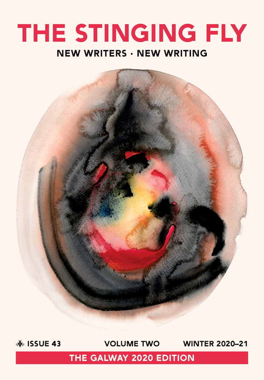 The Stinging Fly Issue 43/Volume Two Winter 2020-21 by Lisa McInerney ...