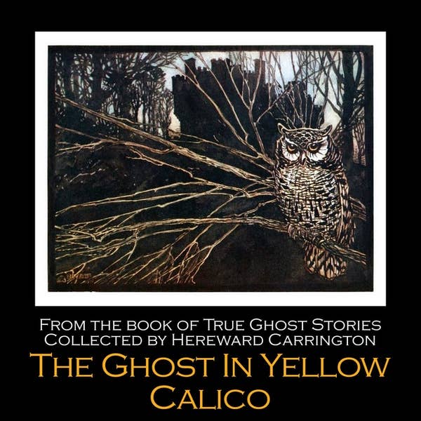 The Ghost in Yellow Calico by Hereward Carrington | Goodreads