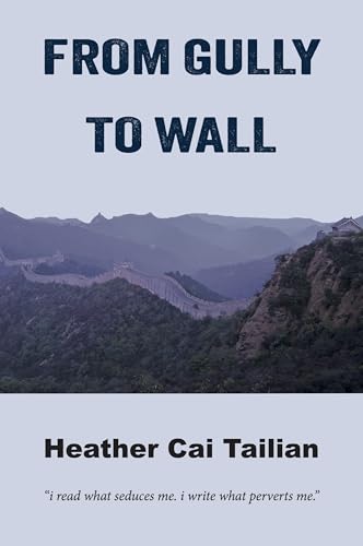 From Gully to Wall by Heather Cai Tailian | Goodreads