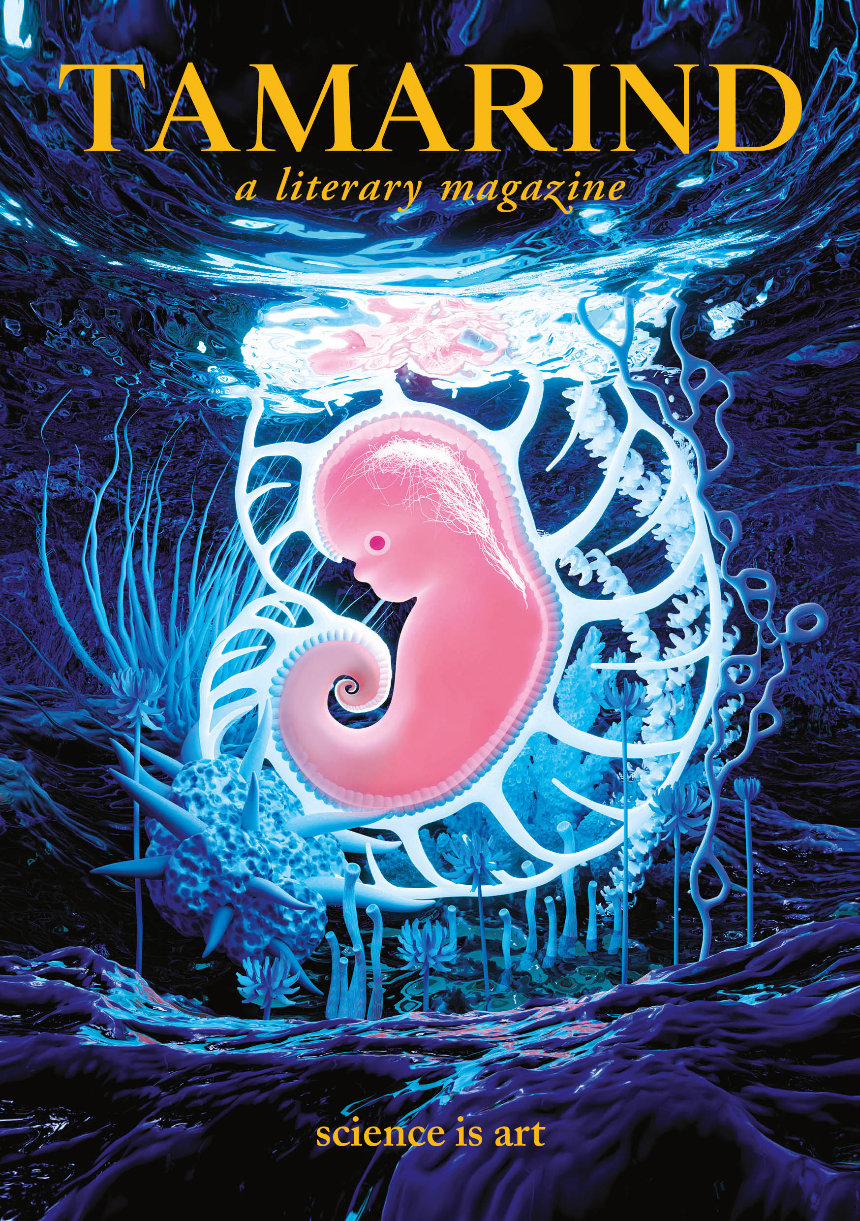 Tamarind Magazine, Issue 4 by Anita Chandran | Goodreads