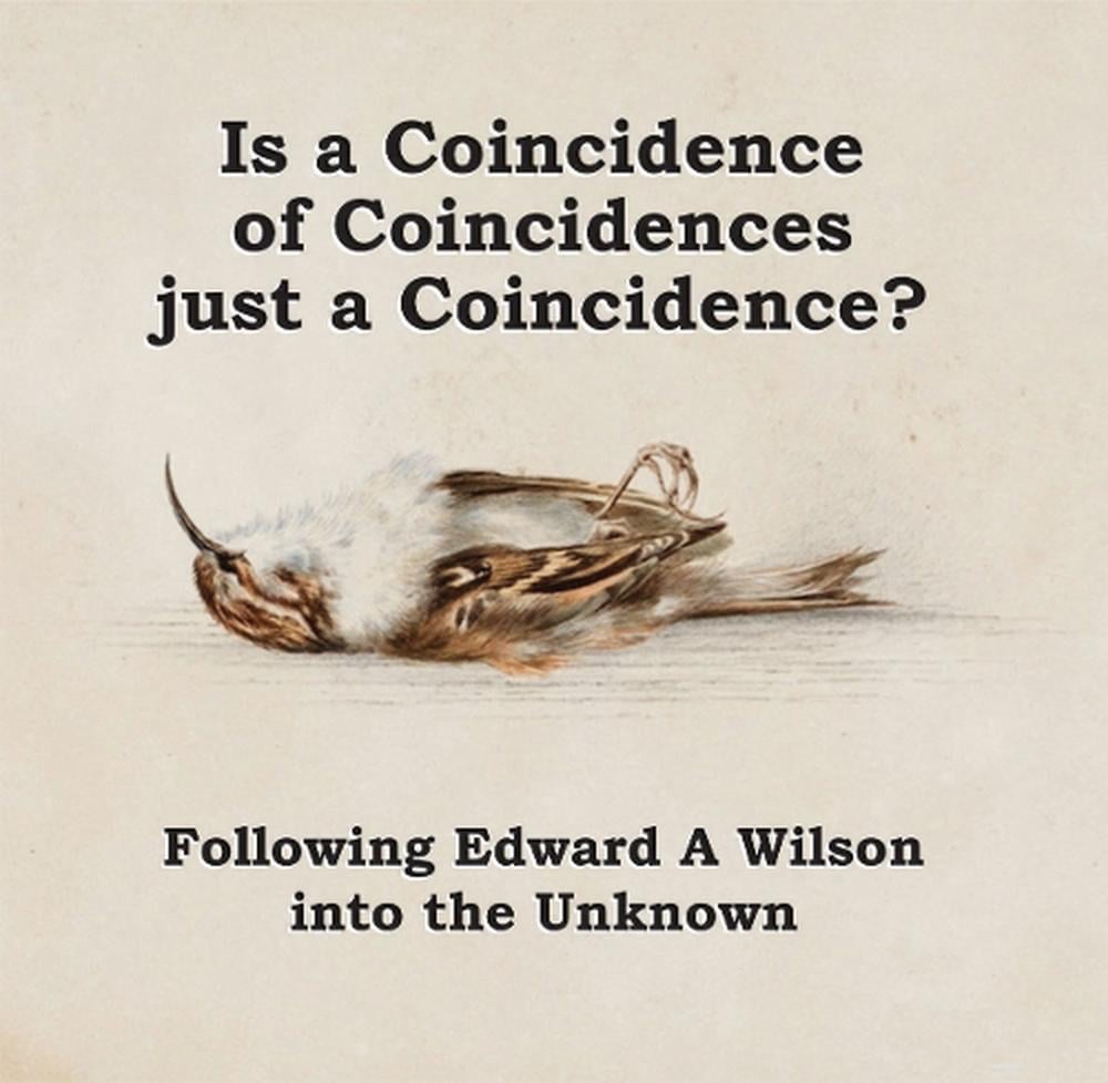 Is a Coincidence of a Coincidences just a coincidence : Following ...