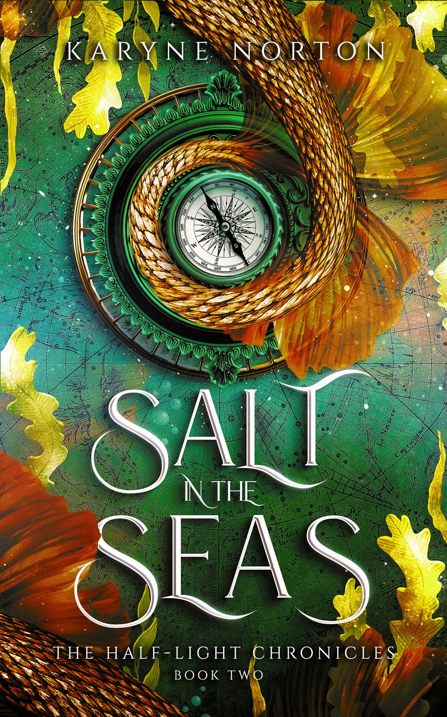 Salt in the Seas (The Half-Light Chronicles, #2) by Karyne Norton | Goodreads