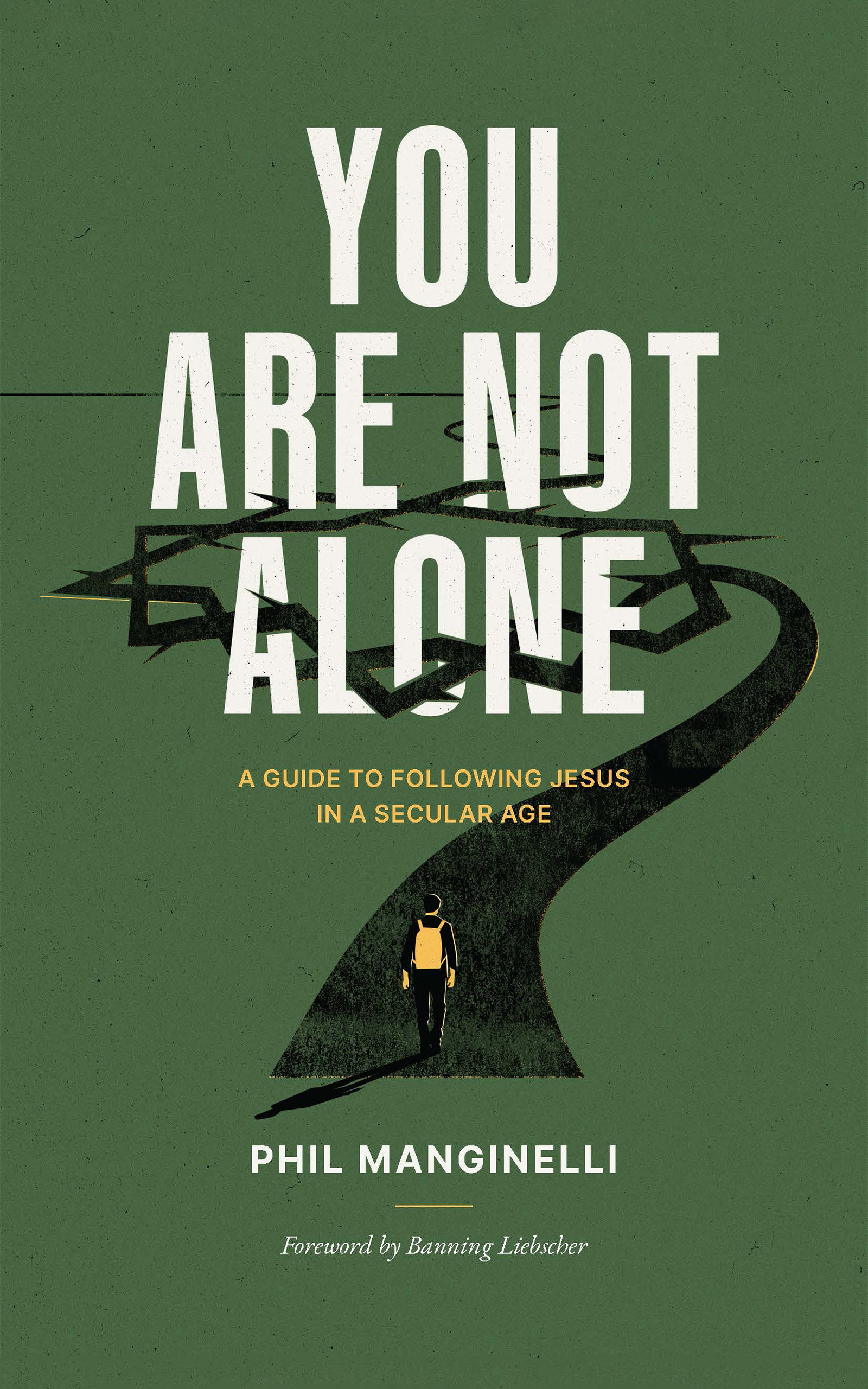 You Are Not Alone: A Guide To Following Jesus In A Secular Age by Phil ...
