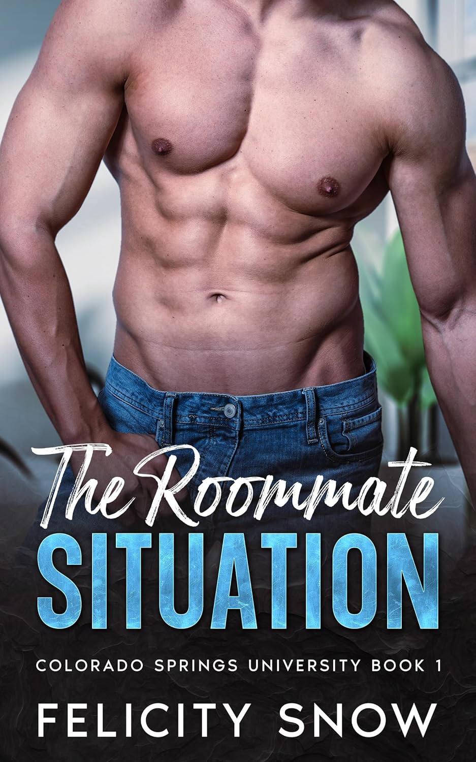 The Roommate Situation by Felicity Snow | Goodreads