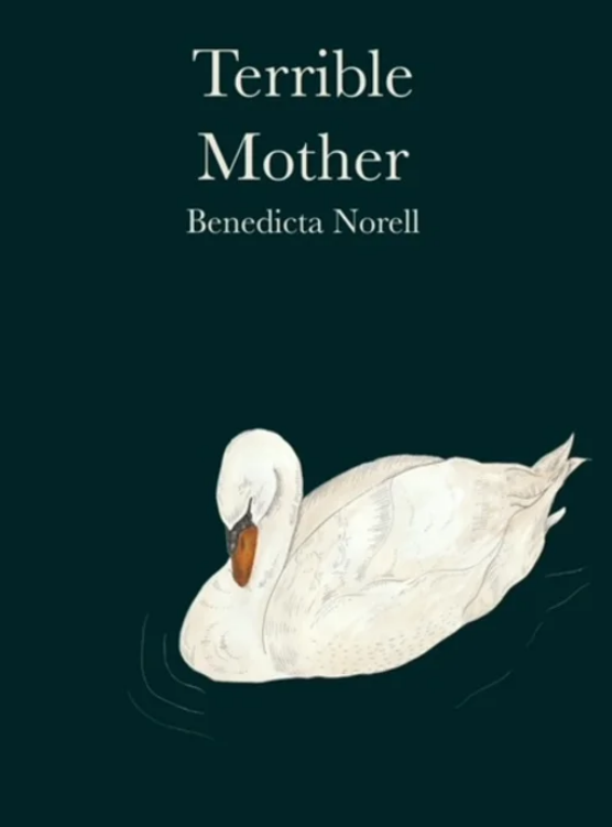 Terrible Mother by Benedicta Norell | Goodreads