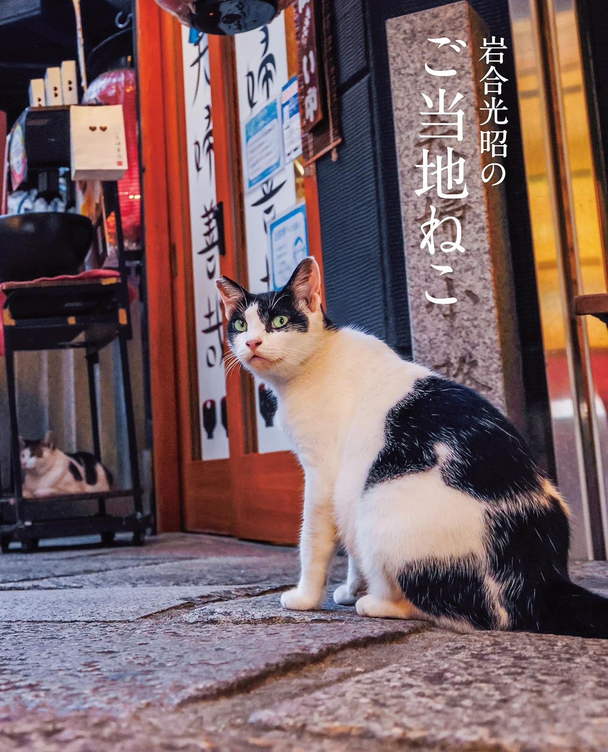 Local Cat by Mitsuaki Iwago | Goodreads