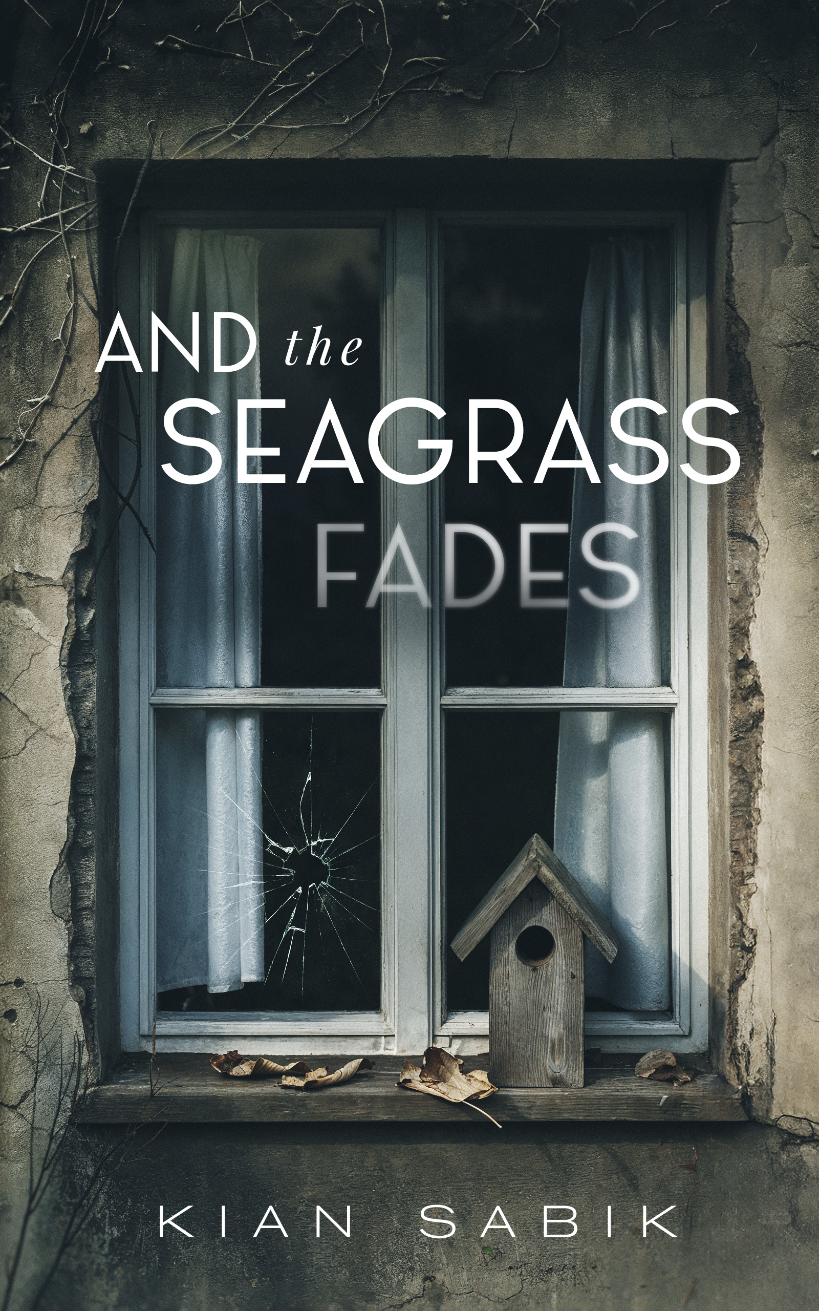 And the Seagrass Fades by Kian Sabik | Goodreads