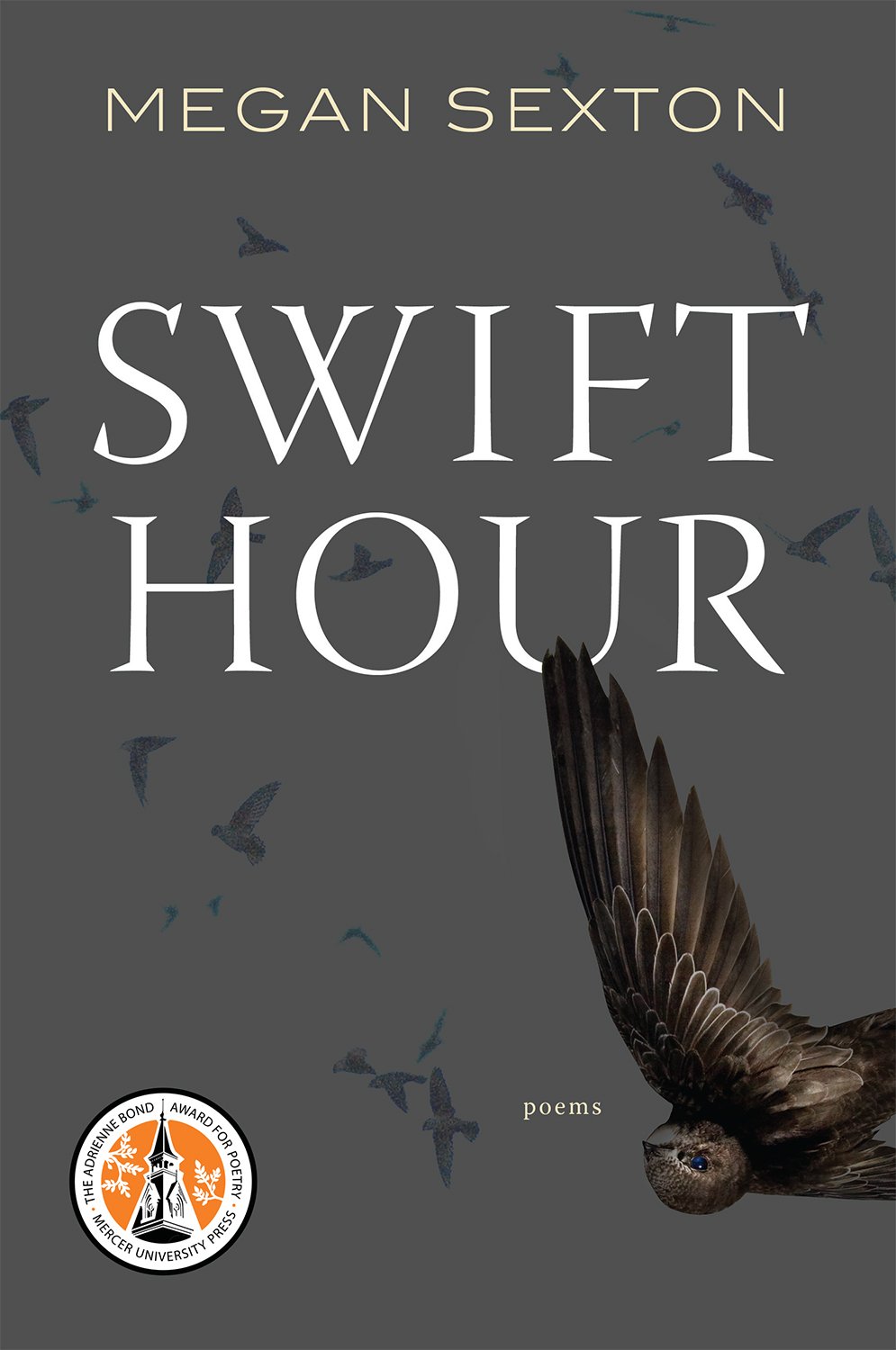 Swift Hour by Megan Sexton | Goodreads
