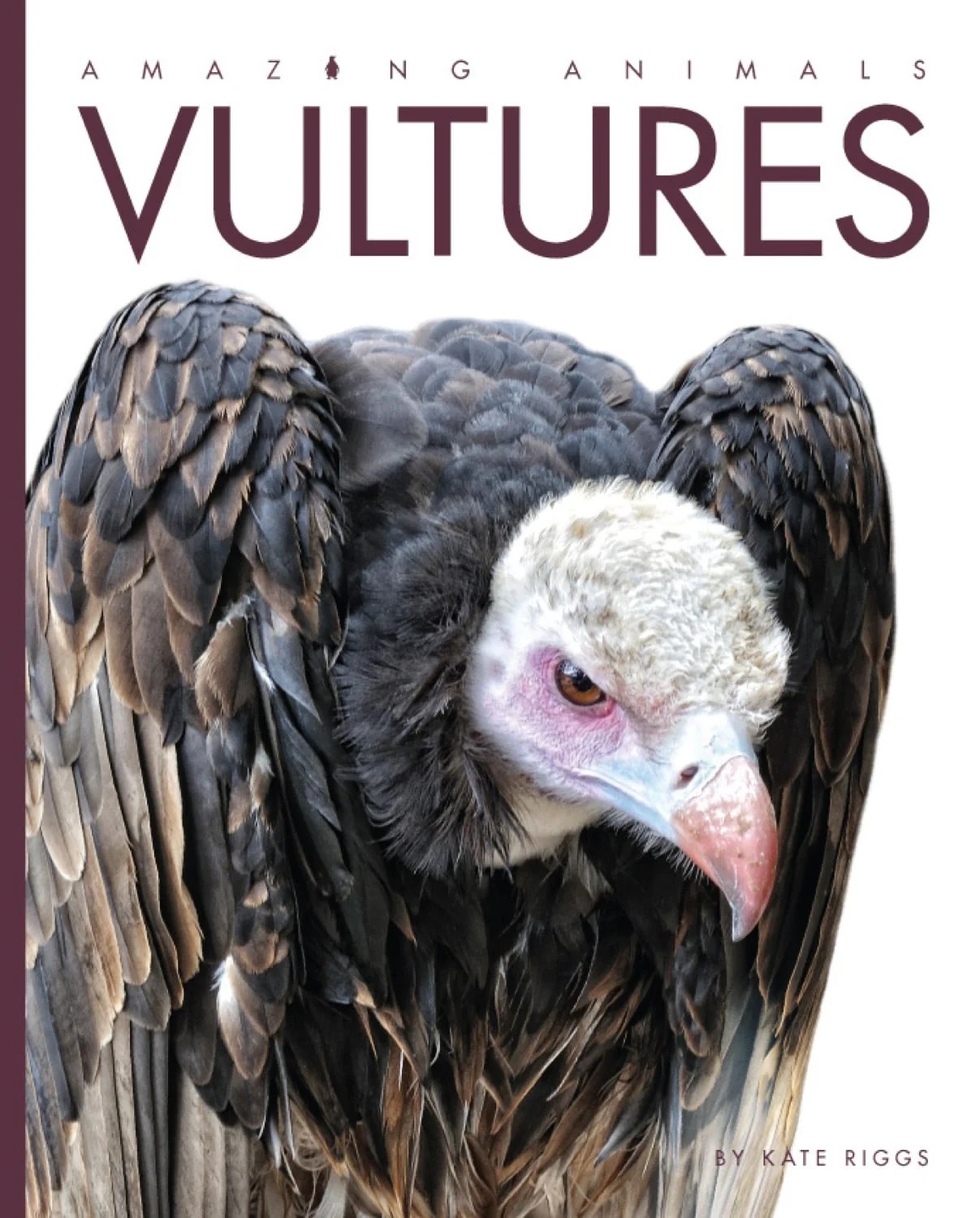 Vultures (Amazing Animals) by Kate Riggs | Goodreads
