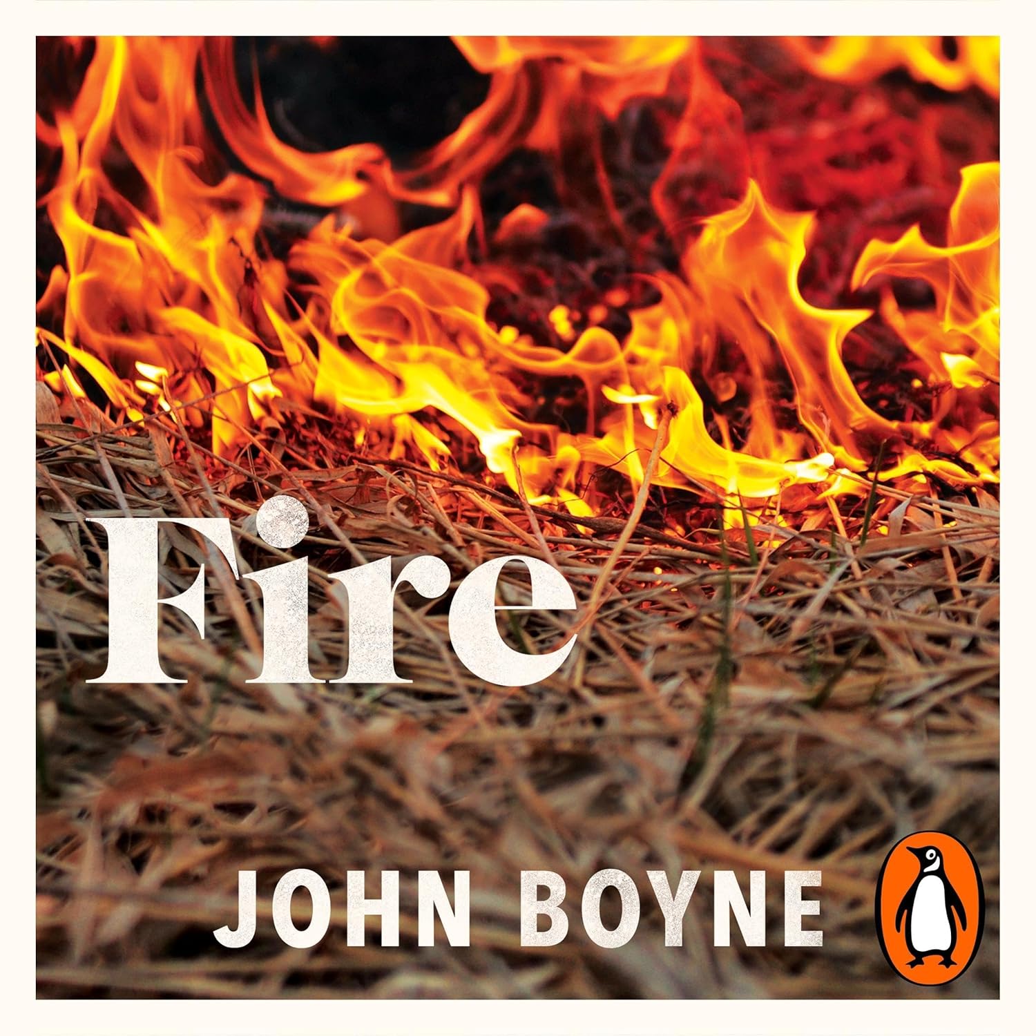 Book Review – Fire by John Boyne – Yipee ki-yay, motherbooker