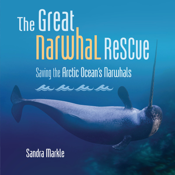 The Great Narwhal Rescue: Saving the Arctic Ocean's Narwhals by Sandra Markle | Goodreads