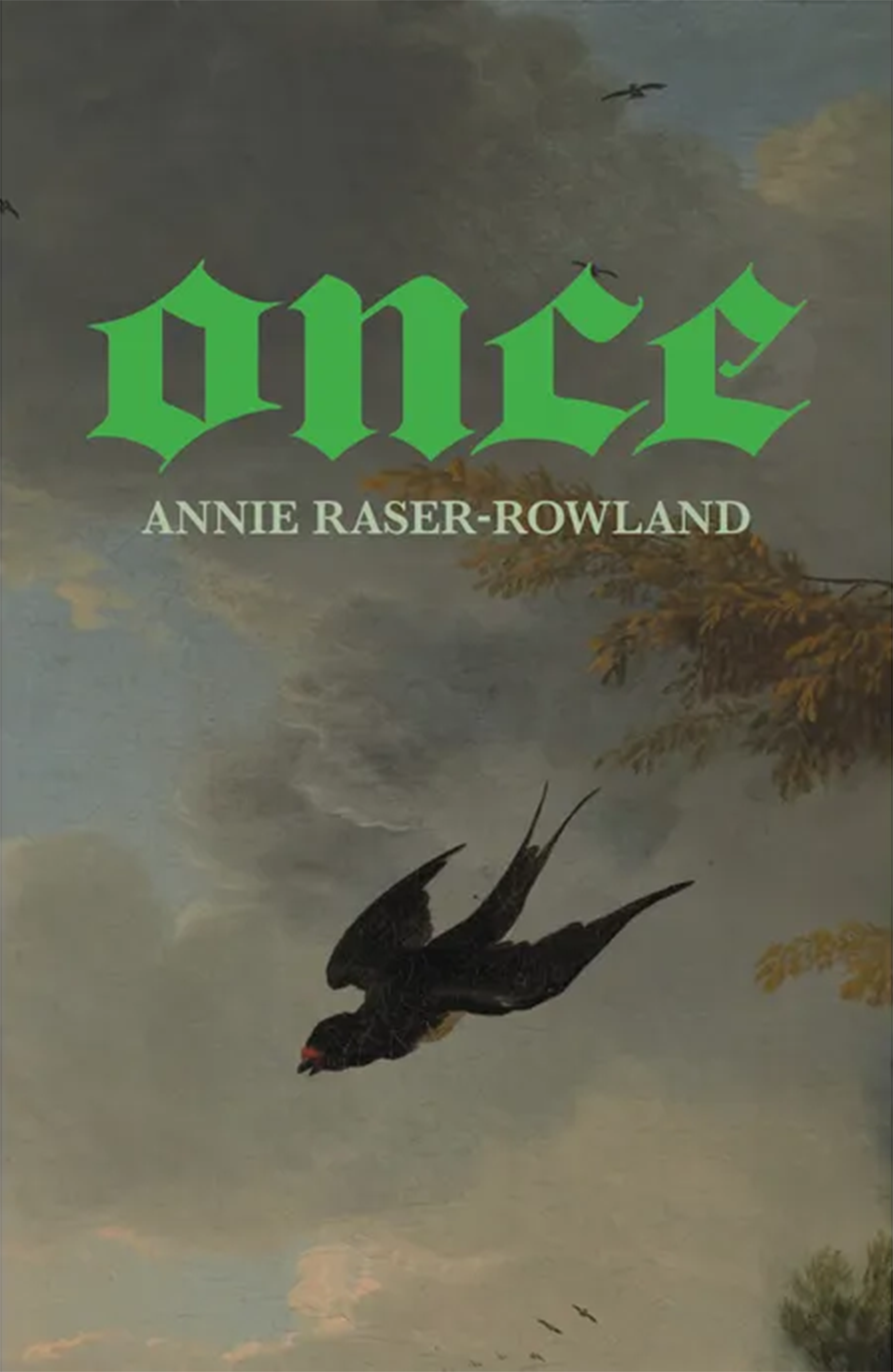 Once by Annie Raser-Rowland | Goodreads