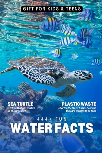 444+ Fun Water, Sea, and Ocean Facts for Kids: Dive into Amazing Marine ...