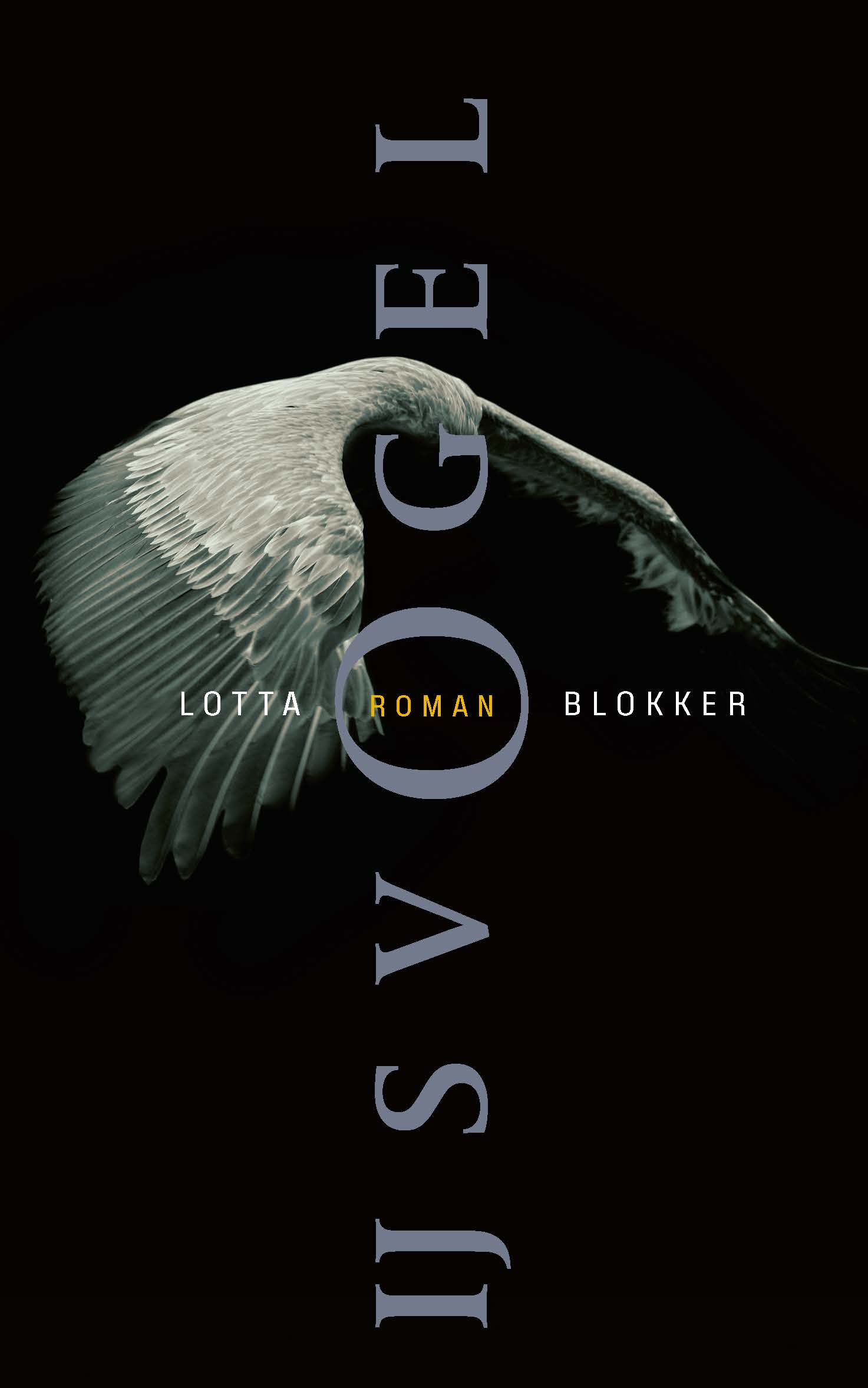 IJsvogel by Lotta Blokker | Goodreads