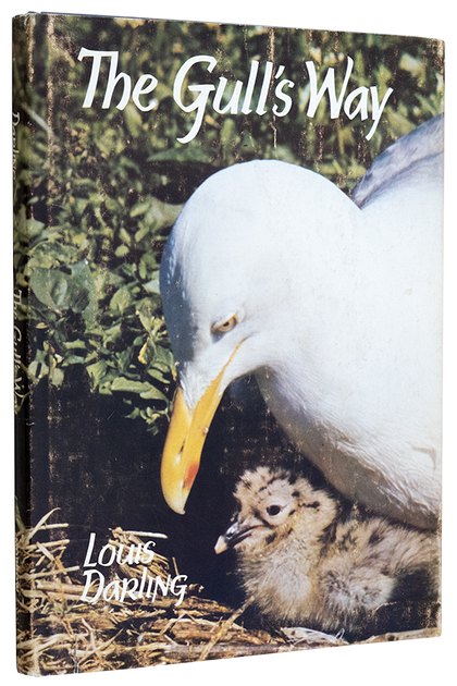 The Gull's Way by Louis Darling | Goodreads