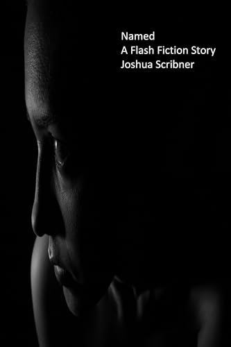 Named: A Flash Fiction Story by Joshua Scribner | Goodreads