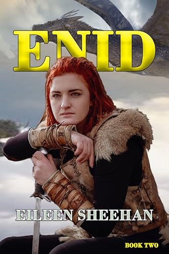ENID (Book 2) (ENID TRILOGY) by Eileen Sheehan | Goodreads