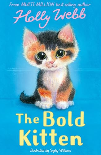 The Bold Kitten (Holly Webb Animal Stories Book 60) by Holly Webb ...