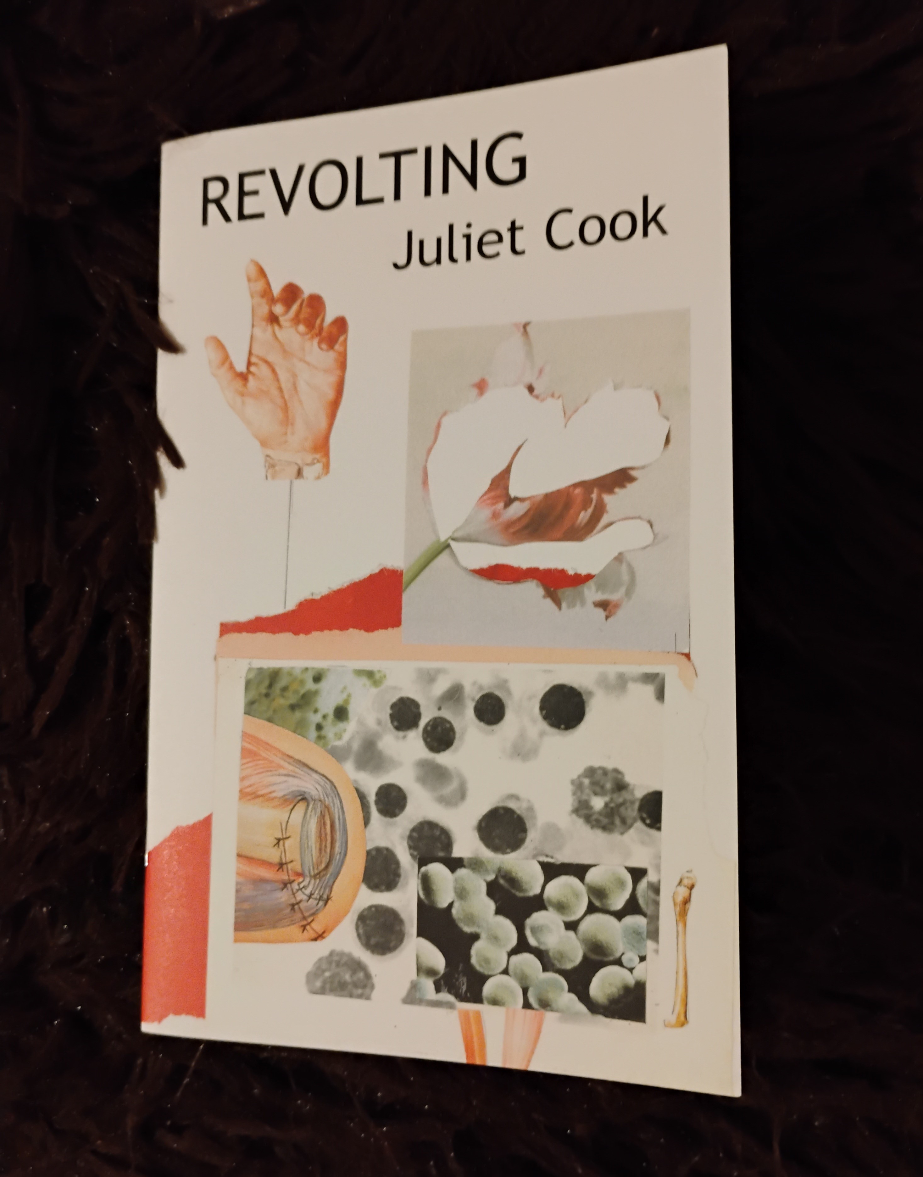 REVOLTING by Juliet Cook | Goodreads
