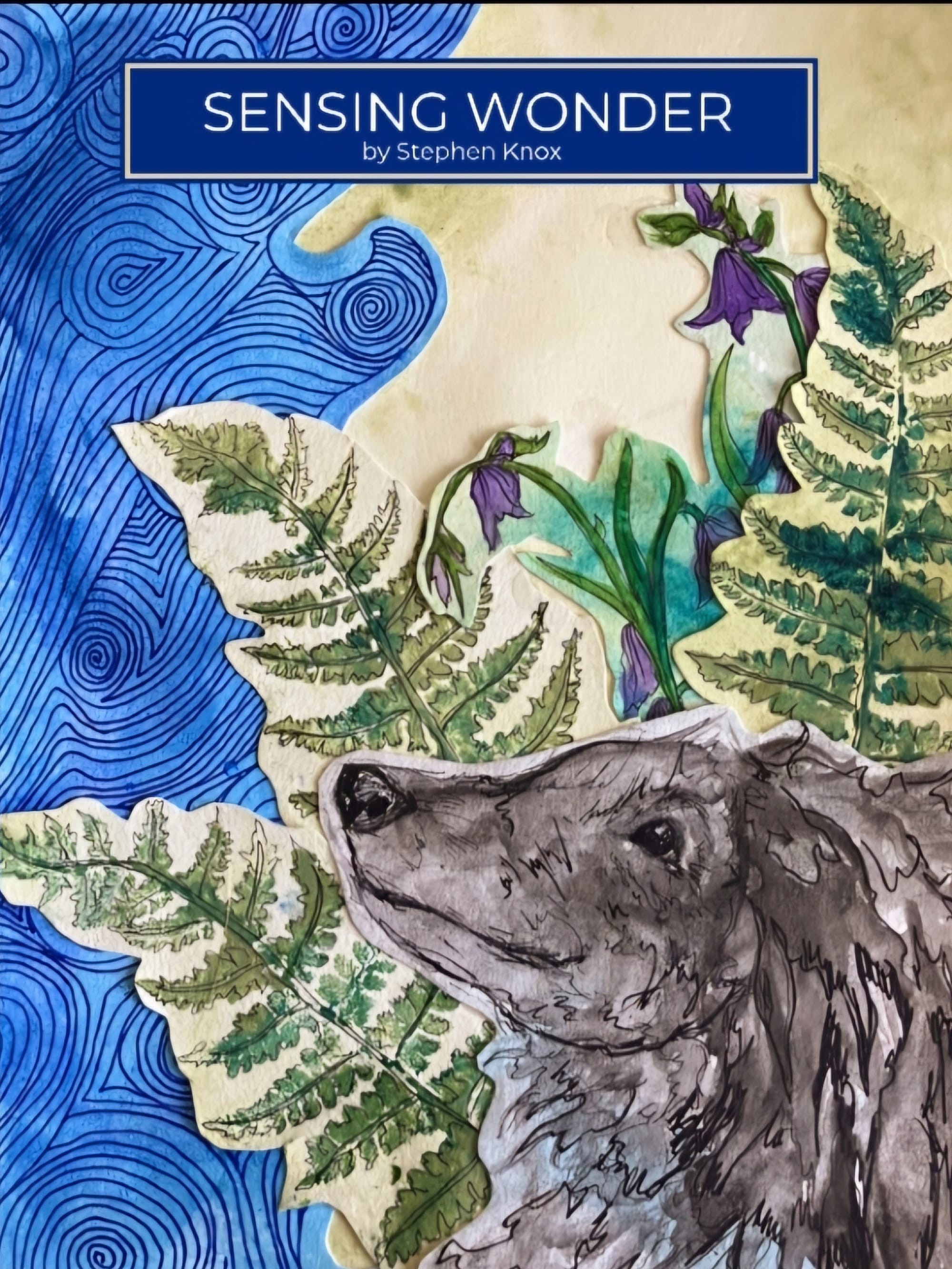 Sensing Wonder: Poems from the Castlereagh Hills and Beyond by Stephen ...