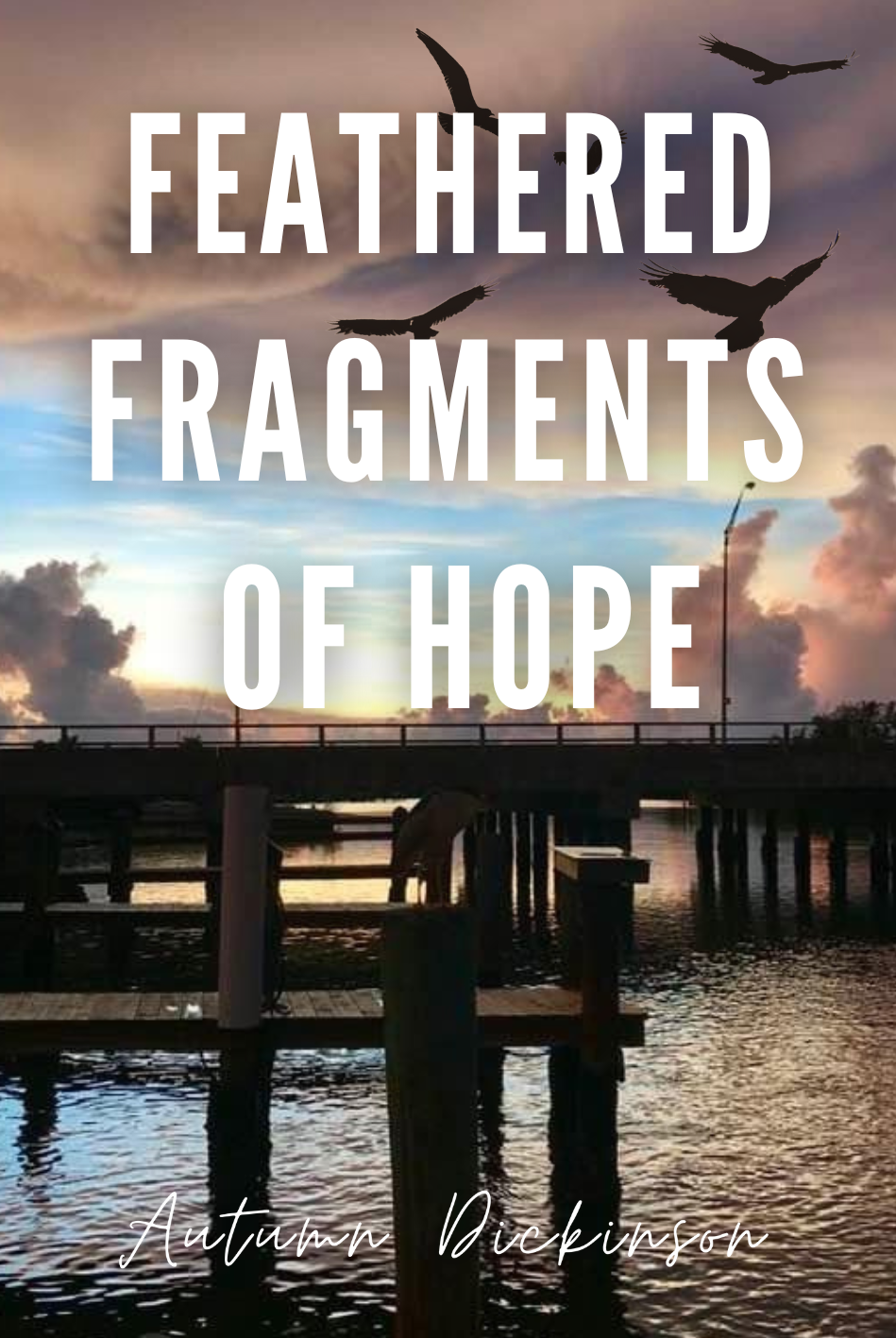 Feathered Fragments of Hope by Autumn Dickinson | Goodreads