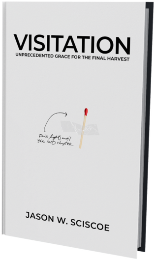 Visitation: Unprecedented Grace for the Final Harvest by Jason W ...