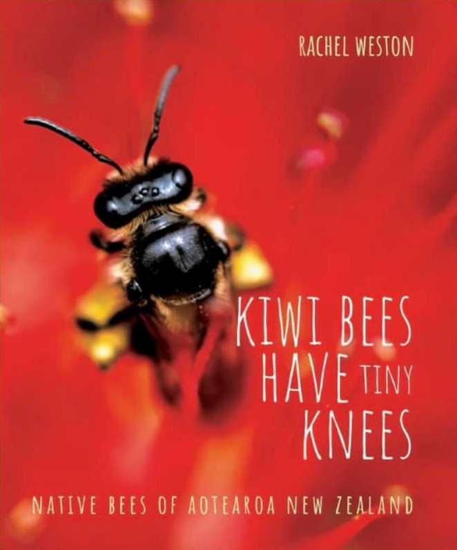 Kiwi Bees Have Tiny Knees: Native Bees of Aotearoa New Zealand by ...