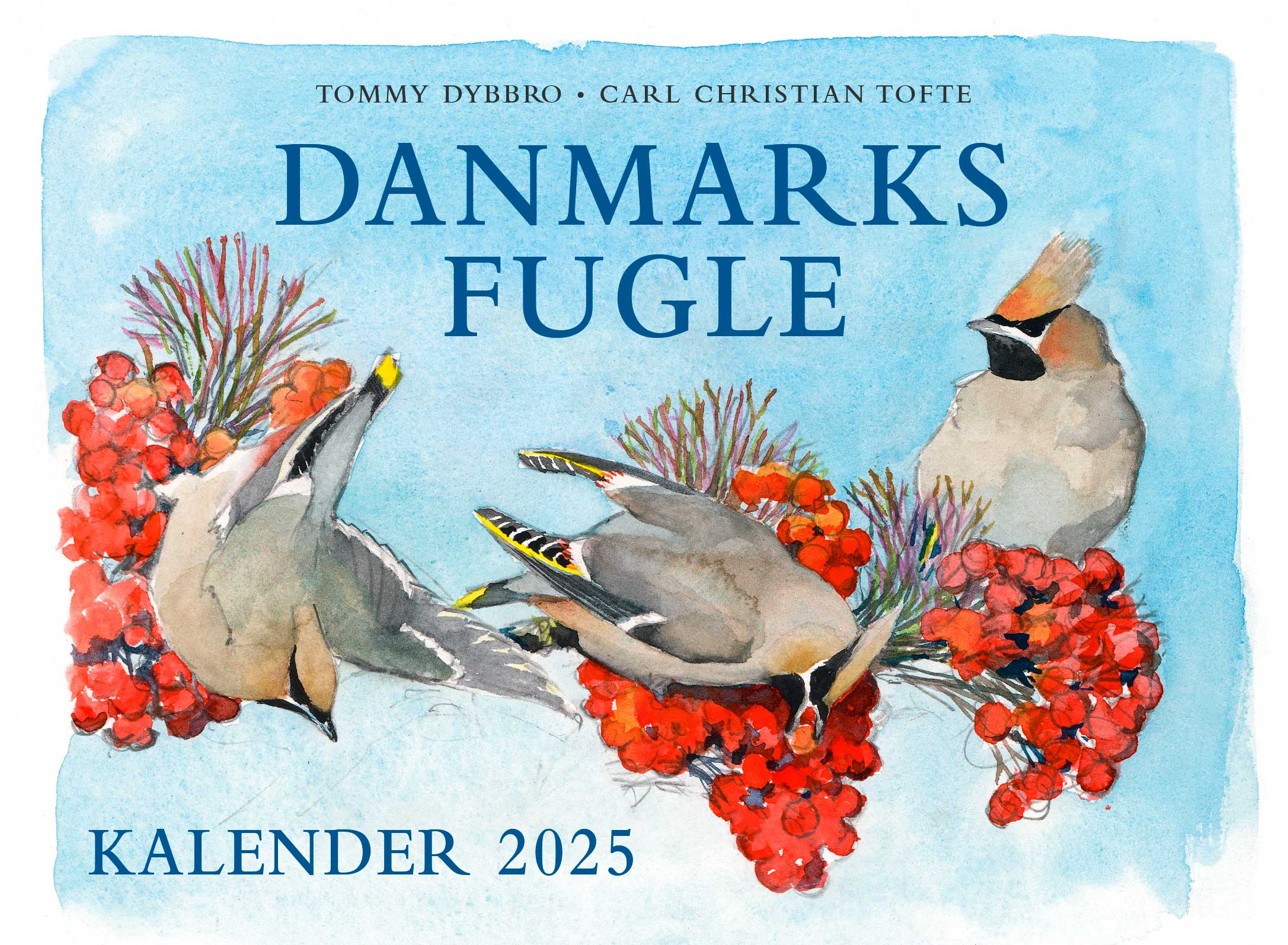 Danmarks fugle – kalender 2025 by Tommy Dybbro | Goodreads