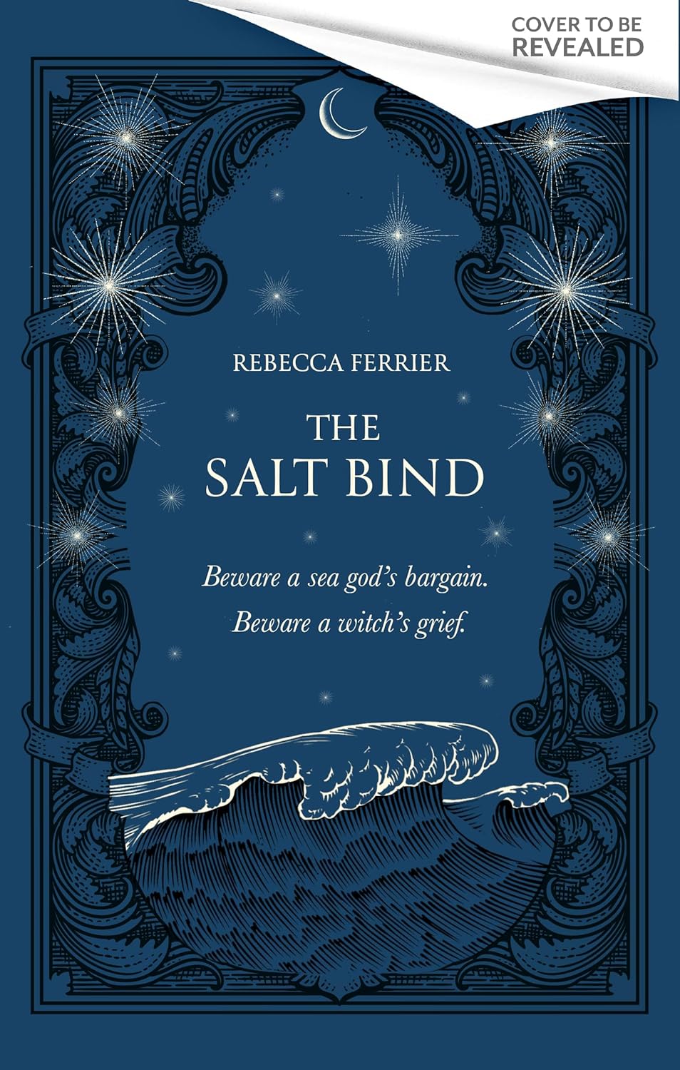 The Salt Bind by Rebecca Ferrier | Goodreads