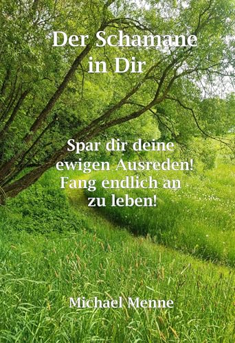 Der Schamane in Dir: Spar dir deine ewigen Ausreden! Fang endlich an zu ...