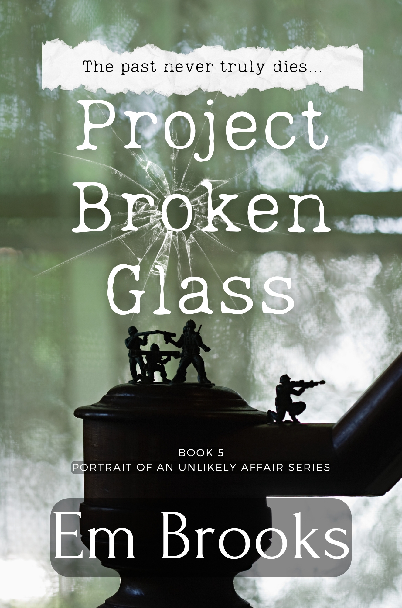 Project Broken Glass: Book 5 of the Portrait of an Unlikely Affair ...