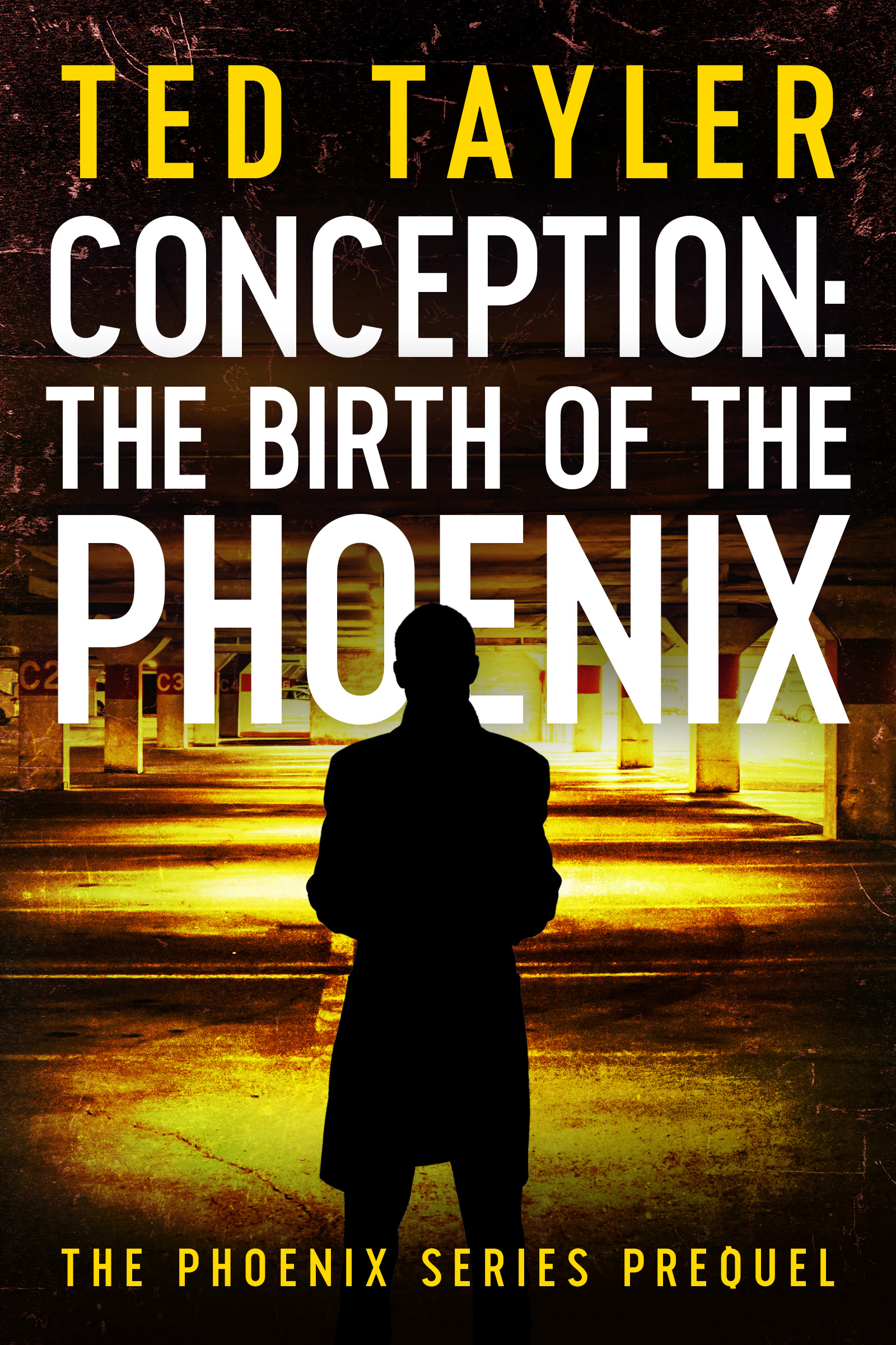 Conception (The Birth of The Phoenix) by Ted Tayler | Goodreads