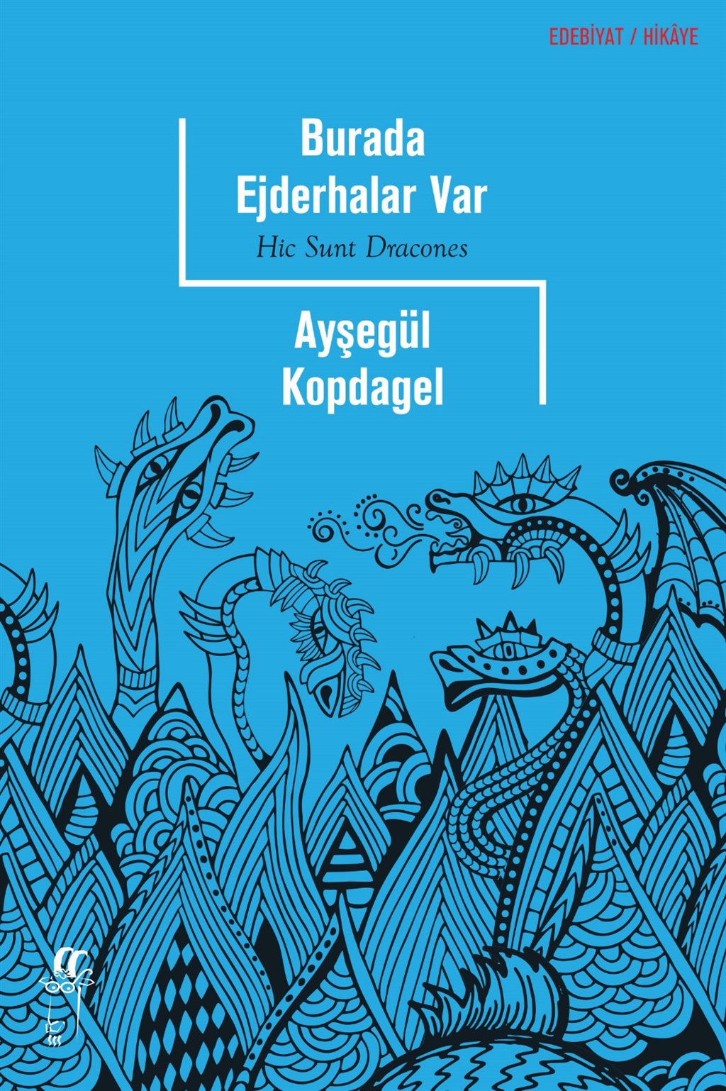 Burada Ejderhalar Var by Ayşegül Kopdagel | Goodreads