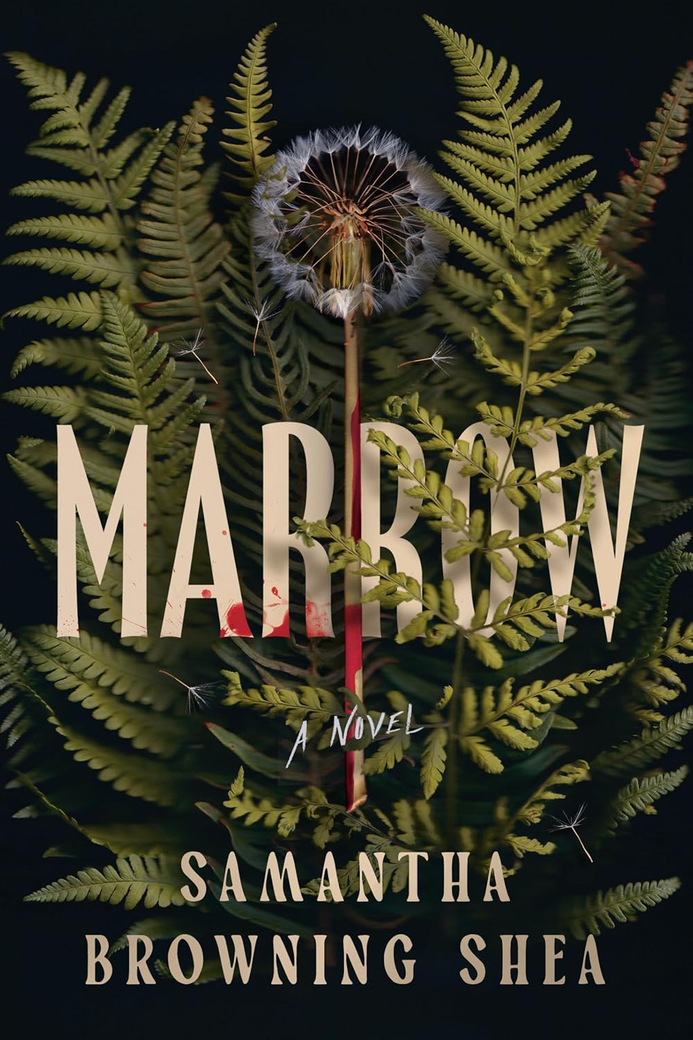 Marrow by Samantha Browning Shea | Goodreads